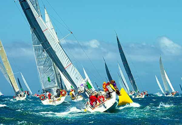 Delma Marine - Extrevity